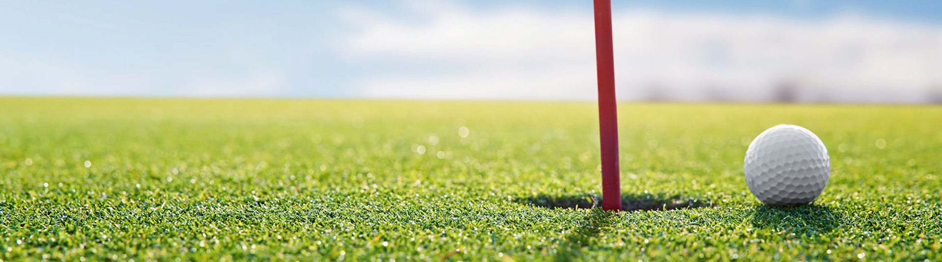 HOME - Irving Golf Club